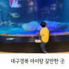 대구 경북 아이랑 갈만한 곳 여기어때 네이버 블로그